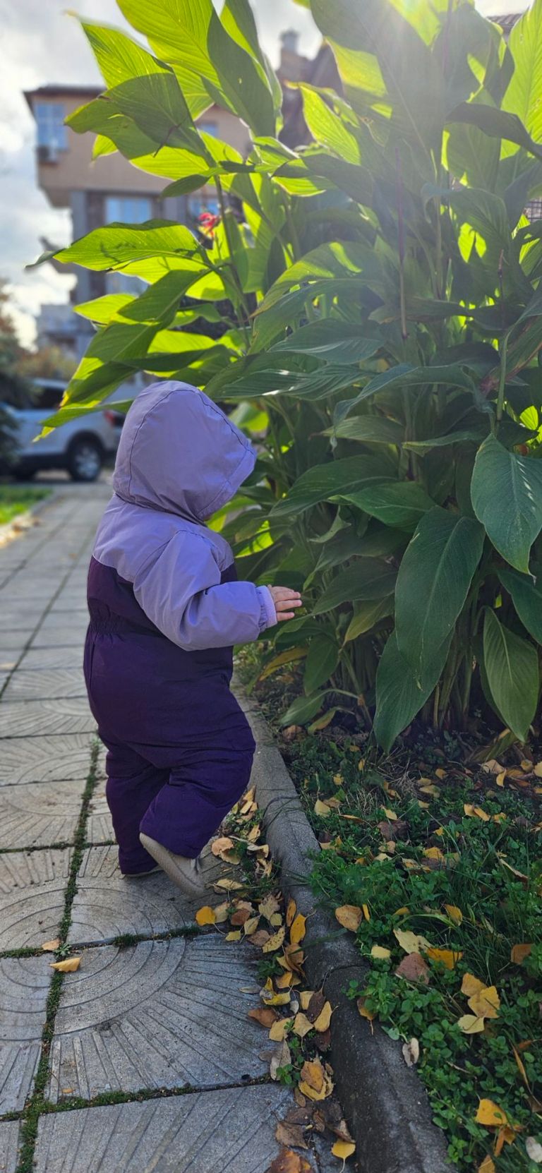 HAPPY NEW YEAR + LIFE AND BOOK UPDATES! – Lin's Perspective