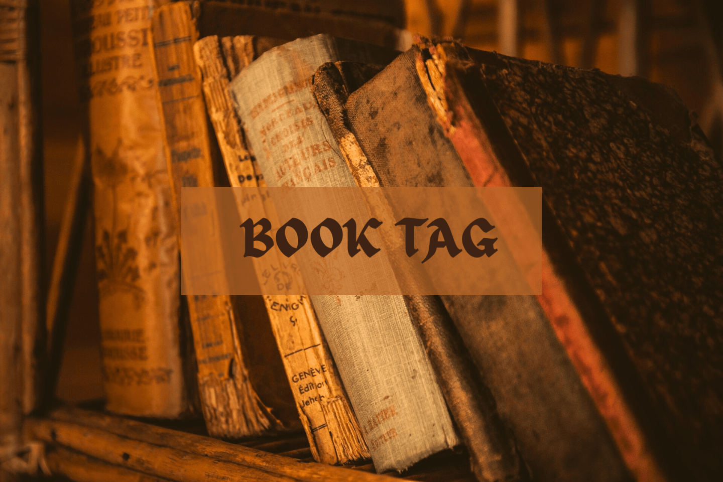 THE BEGINNING OF THE YEAR BOOK TAG – Lin's Perspective